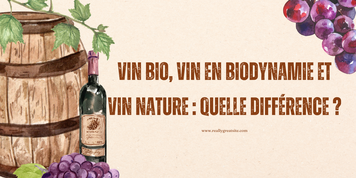 Vin Bio, Vin en Biodynamie et Vin Nature : Quelle Différence ...